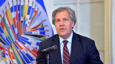 Luis Almagro Es Reelecto Como Secretario General De La Oea Hasta 2025 Hrn