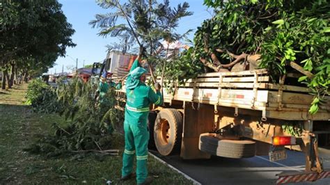 Prefeitura de Aparecida de Goiânia intensifica roçagem de mato alto em