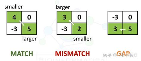 基因序列比对算法的发展与原理 知乎