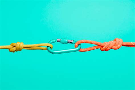 Connecting With Society CMI