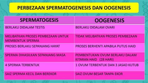 Pembentukan Gamet Dalam Pembiakan Manusia Pptx