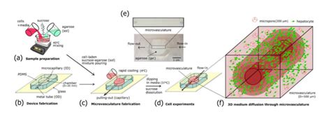 Nanyang Technological University Thesis Validates Use Of Bessel Beams
