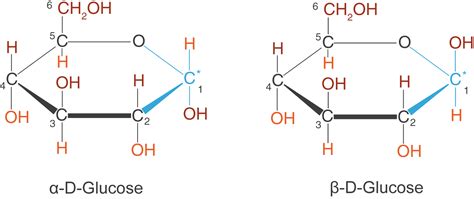 Anomeres C Atom Glucose Chemie Schule Glucose Anomere ☆ Chemie