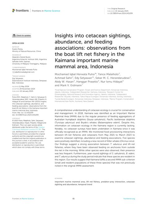 PDF Insights Into Cetacean Sightings Abundance And Feeding