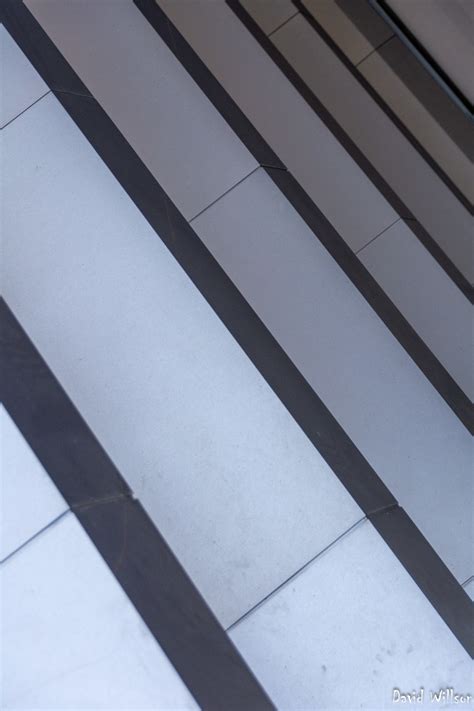 Dsc0898 David Willson Flickr