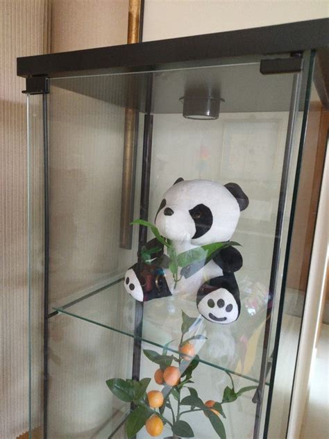 Ikea Glass Display Rack Furniture And Home Living Furniture Shelves
