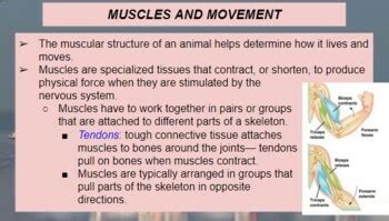Biology Movement Support MS Word Guided Notes PowerPoint