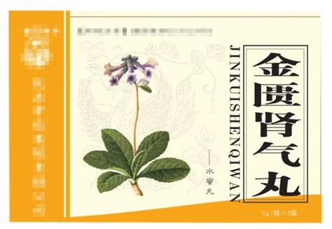 补肾的金匮肾气丸为什么你吃没效果中医道出真相作用翻倍 哔哩哔哩