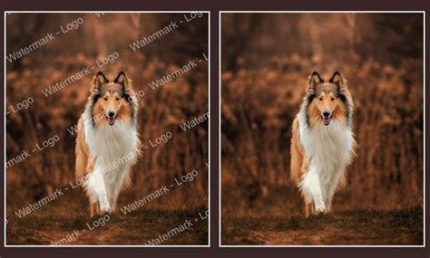 Remove Or Replace Objects And Watermark By Ali Hassan Pak Fiverr