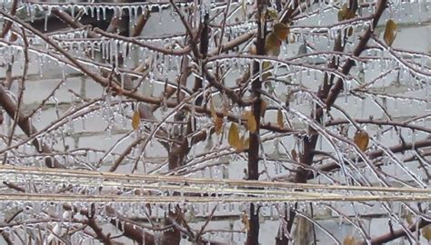 В некоторых городах Украины из за непогоды затруднена работа общественного транспорта Читайте