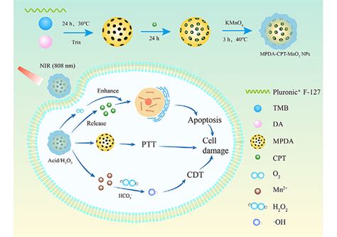 Surface Functionalized Mesoporous Polydopamine Nanocomposites For Killing Tumor Cells Through