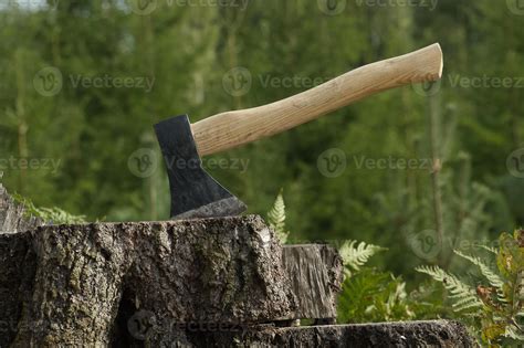 Hatchet Or Axe Stuck In A Tree Stump Against Forest 53617876 Stock