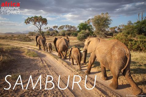 Samburu Home Of The Samburu Special 5 Africa Geographic