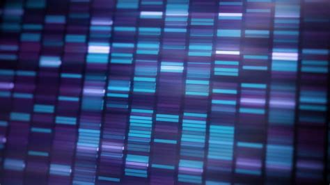 Dna Sequencing Theory Videos And Hd Footage Getty Images