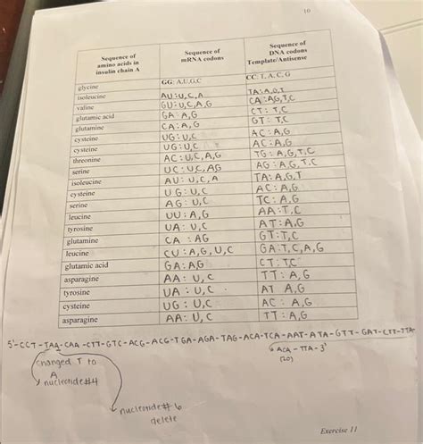 Solved 5 Given The Sequence Of Amino Acids In An Insulin