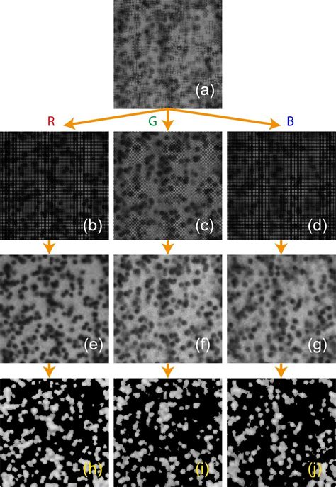 Steps For Preprocessing Of The Raw Image File Showing The Same Region