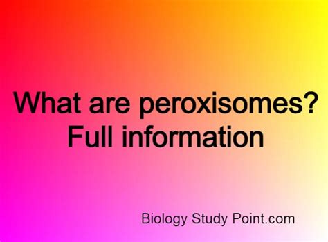 Peroxisomes Definition Functions Types Structure Discovered 2026