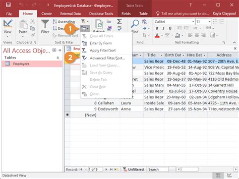 Create An Advanced Filter Customguide