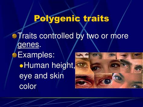 Ppt Chapter 11 Powerpoint Presentation Free Download Id6788084