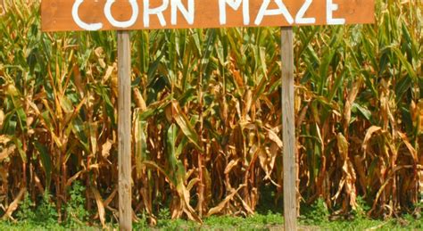 Big List Of Corn Mazes And Pumpkin Patches In Virginia 2023 Explore