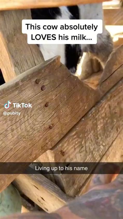 Guess Whos Laughing Now I Guess Ethan Was Actually Right R Miniminter