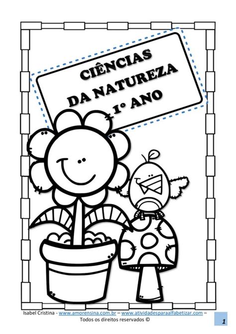 APOSTILA ATIVIDADES DE CIÊNCIAS PARA O 1º ANO 1ª PARTE Loja