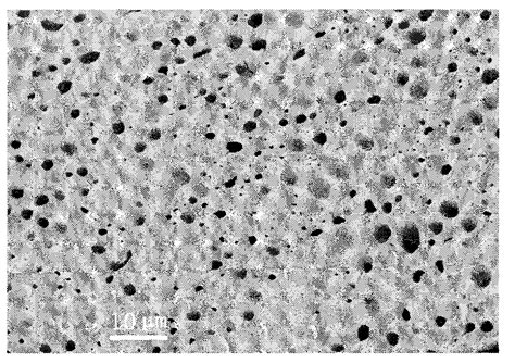 Integral Macroporous Alumina And Preparation Method Thereof Eureka Patsnap