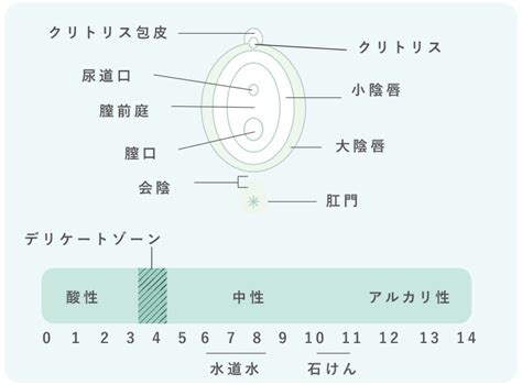 サンテラボのコラム 54 デリケートゾーンのお悩み相談q＆a