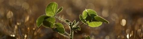 Kepler Weber Vai Investir R 65 3 Milhões E Gerar 120 Empregos No Rio Grande Do Sul Kepler