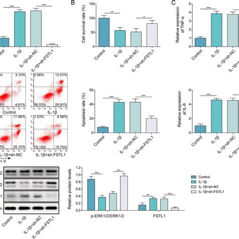 Effects Of Mir 495 3p Overexpression On Il 1β Treated Cells Cells Were