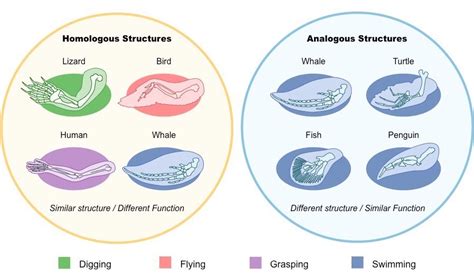 Unit 2 Quiz 1 Review The Biology Classroom