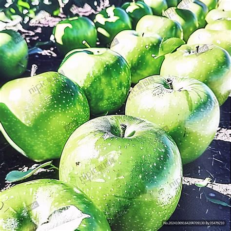 Ai创作图进口青苹果绿色苹果 青苹果挂画 艺术化青苹果 青苹果素材 青绿色苹果 手绘绿宝石李 苹果素材绿色食品 1青苹果 苹果节拍照背景板 青果青苹果小青果 绿苹果详情 瑞雪青苹果 青苹果图片