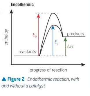 5 Enthalpy And Entropy Flashcards Quizlet