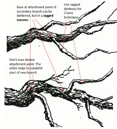How To Draw Tree Branches