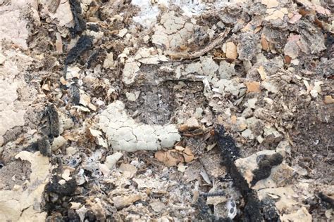 Ash On The Ground Stock Image Image Of Fire Close 143220869