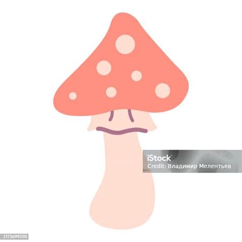 버섯 파리 Agaric 만화 플라이 Agaric 벡터 일러스트 레이 션 Boletus에 대한 스톡 벡터 아트 및 기타 이미지