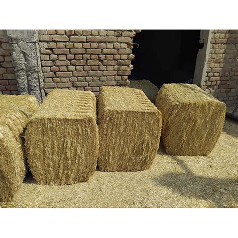 150 Kg Wheat Straw Color Natural At Best Price In Indore Grass
