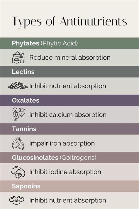 What Are Antinutrients Stephanie Kay Nutrition