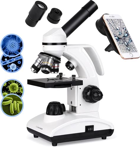 Mejores Microscopios En 2024 Los Mejores Modelos En Oferta