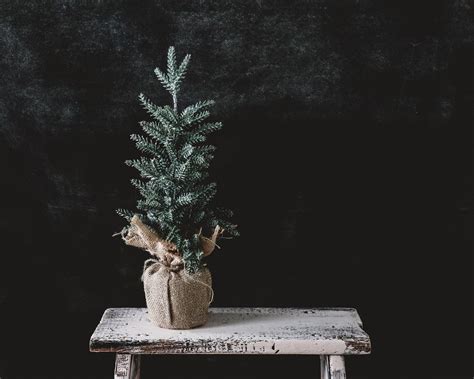 300000 Free Tree Texture And Nature Images Pixabay 300000 Free Tree Texture And Nature Images Pixabay