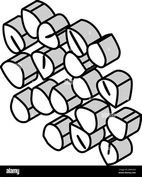 Buckwheat Grain Healthy Isometric Icon Vector Illustration Stock Vector