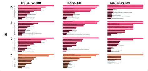 Gene Ontology Go And Putative Pathways Of Common Upregulated Degs