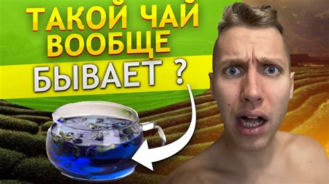 ИСЦЕЛЯЮЩИЙ СИНИЙ ЧАЙ АНЧАН В чем полезные и целебные свойства для