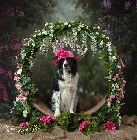 Kate Pink Floral Garden Spring Backdrop For Photography Designed By Pi
