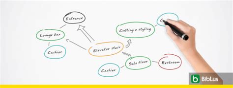 Architectural Bubble Diagram What Is It And Why Is It Important Biblus