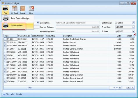 Accounting Grid Preview Of General Ledger