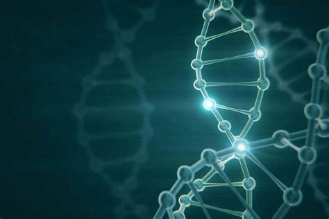 ¿qué Es El Glioma Cerebral Muy Salud