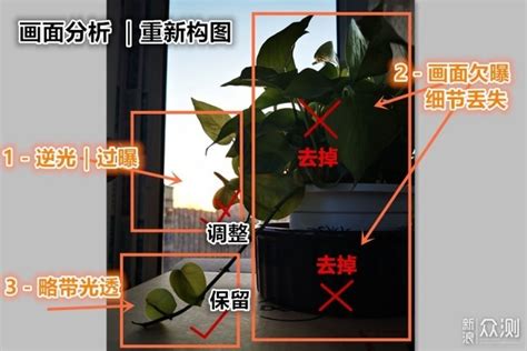 宅家手机拍美片 ｜ 先学会“借光”！原创新浪众测