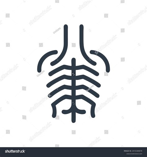 Unique Xiphoid Process Anatomy Vector Design Stock Vector Royalty Free 2572184679 Shutterstock Unique Xiphoid Process Anatomy Vector Design Stock Vector Royalty Free 2572184679 Shutterstock