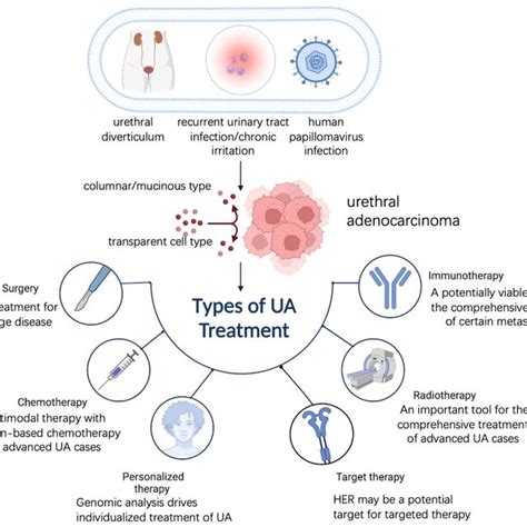 Timeline Of Targeted Drugs Which Fda Approved For Oncogene Driven Nsclc Download Scientific